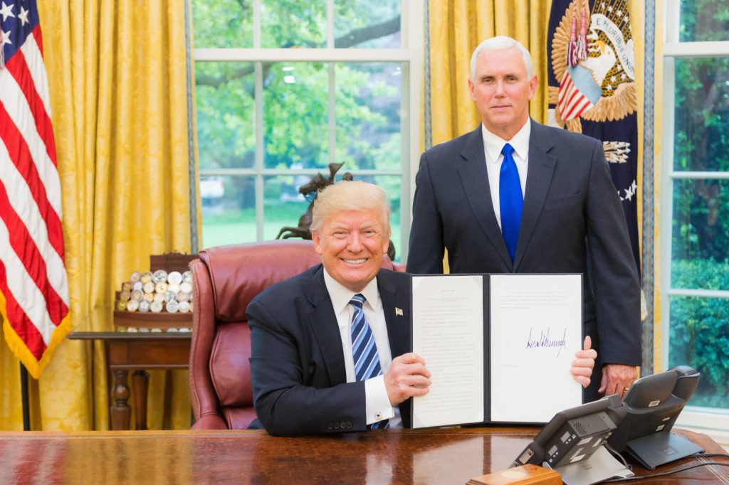 4 Best Donald Trump Wigs - 2024 Expert Picks